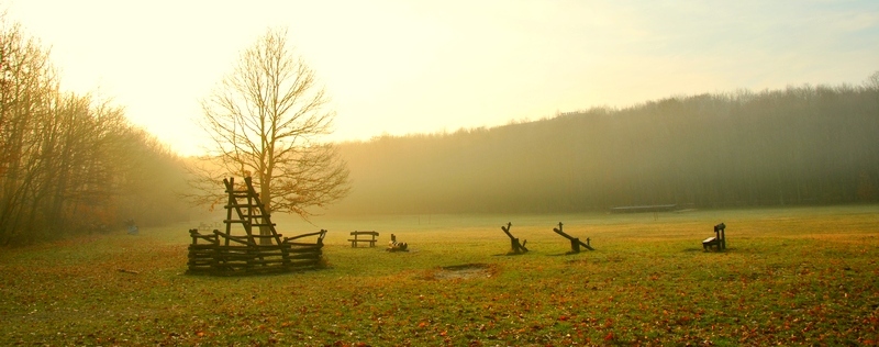 A természetet idézi a budapesti Szilfa-tisztás megújuló játszótere ...