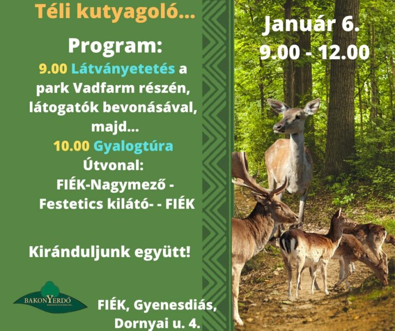 Téli kutyagoló a Festetics Imre Élményközpontban – Erdeiprogramok.hu ...